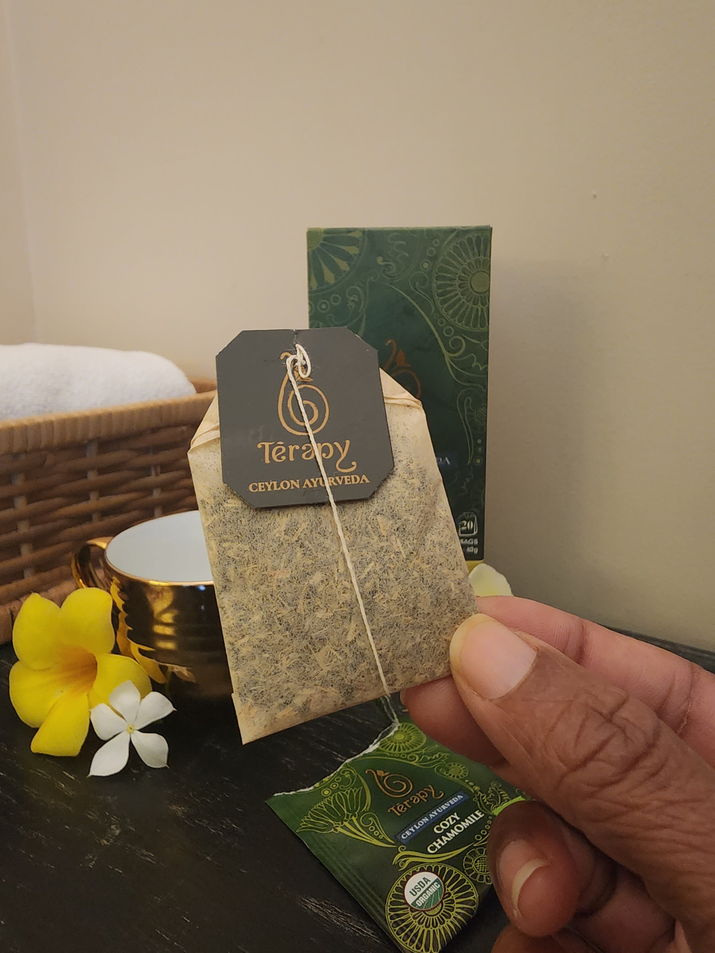 Terapy Ceylon: Your Ceylon Ayurvedic Indulgence to Wellness – Térapy Ceylon